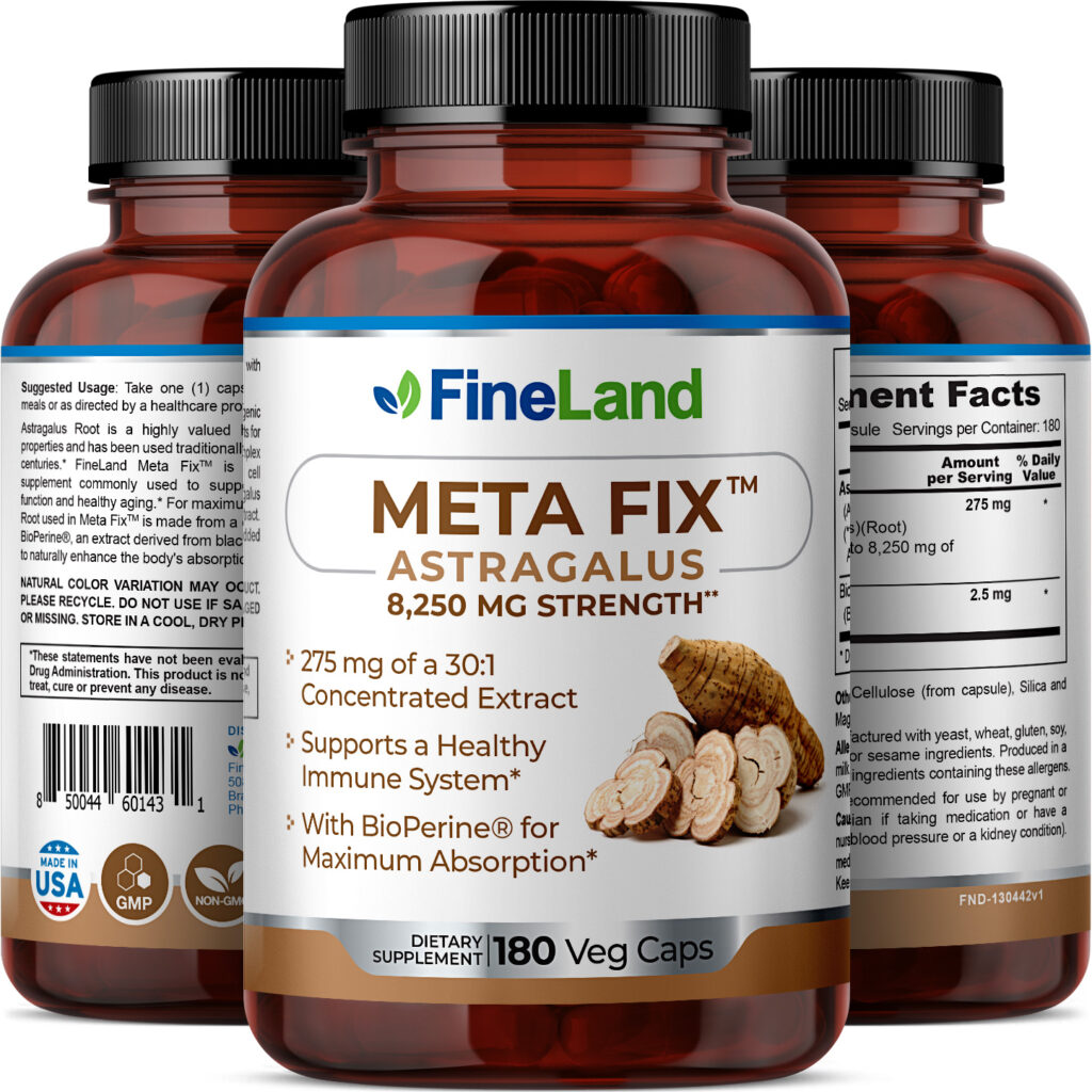 Meta Fix - Dr. Landivar